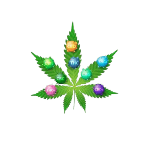 Cannabis Learning Centers | Green CulturED