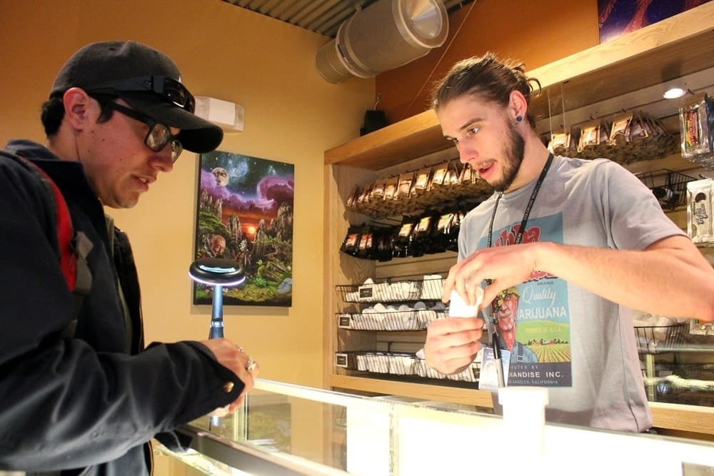 Budtender Training & Cannabis Industry Skills | Green CulturED ...
