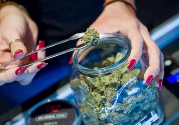 What Is A Bud Tender & How Much Do Bud Tenders Make 💬 | Green CulturED