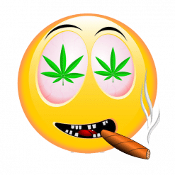 Maryland Dispensary Agent Certification | Green CulturED eLearning ...