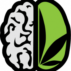 Maryland Dispensary Agent Certification | Green CulturED eLearning ...