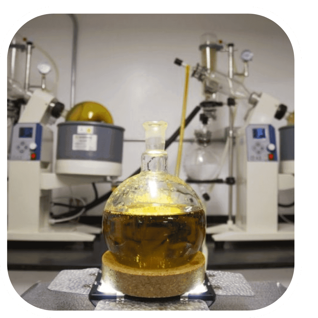 Extraction 💬 | Green CulturED