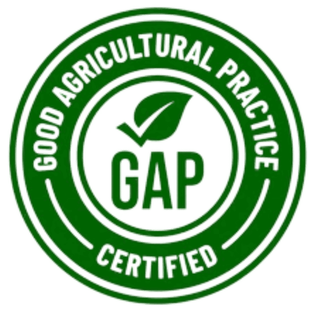 Good Agricultural Practices (GAP) | Green CulturED