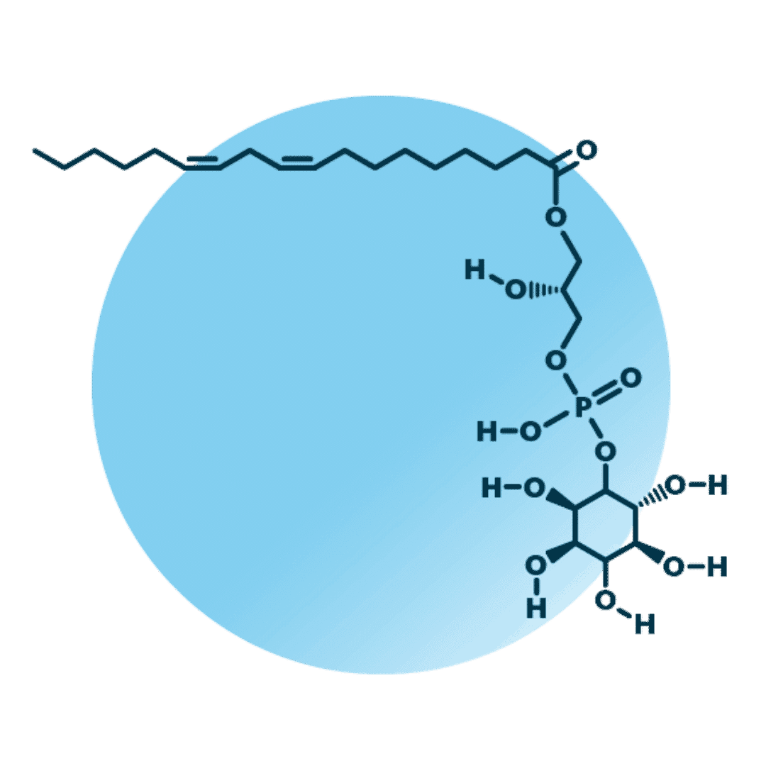 Lysophosphatidylinositol (LPI) | Green CulturED eLearning Solutions