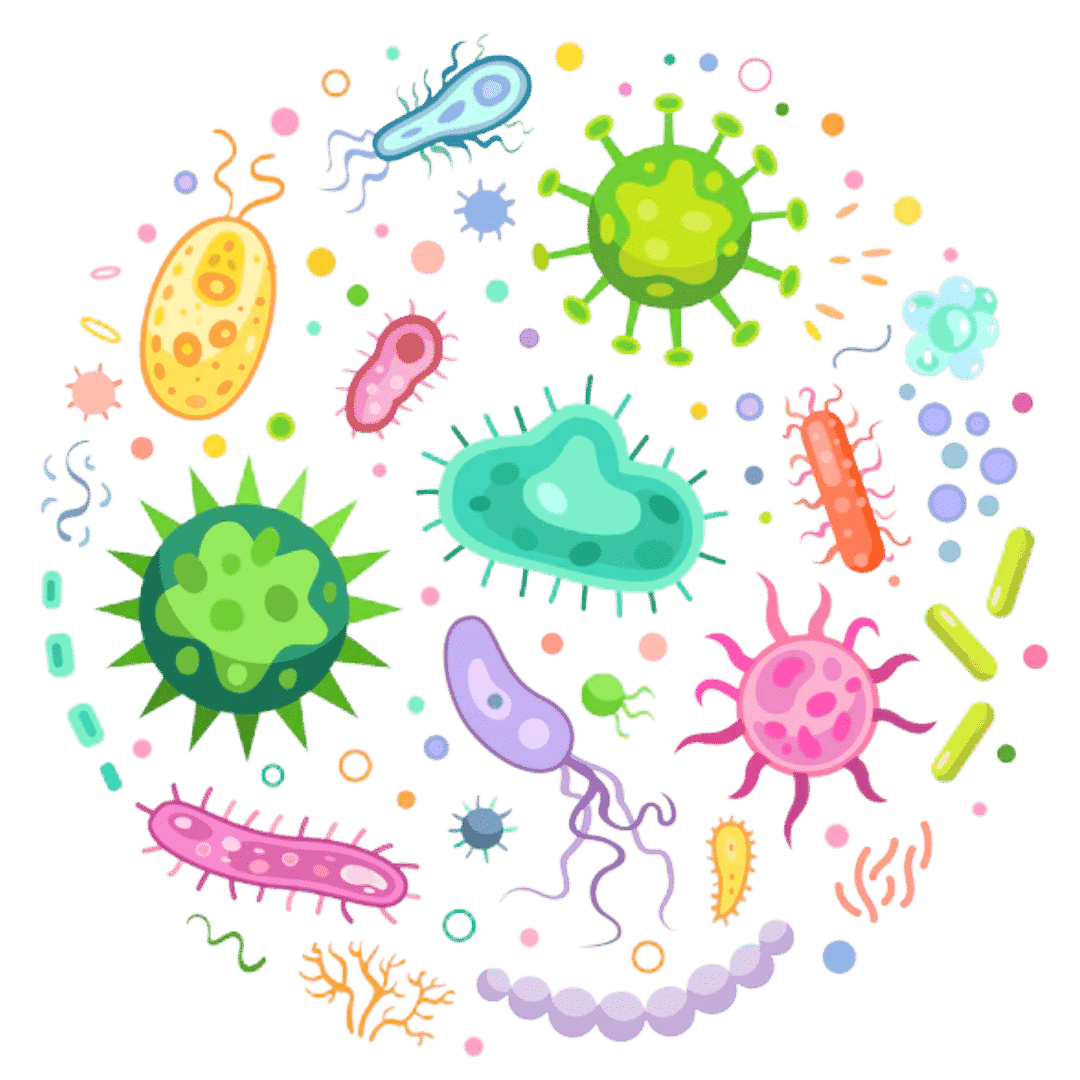 Pathogen 💬 | Green CulturED