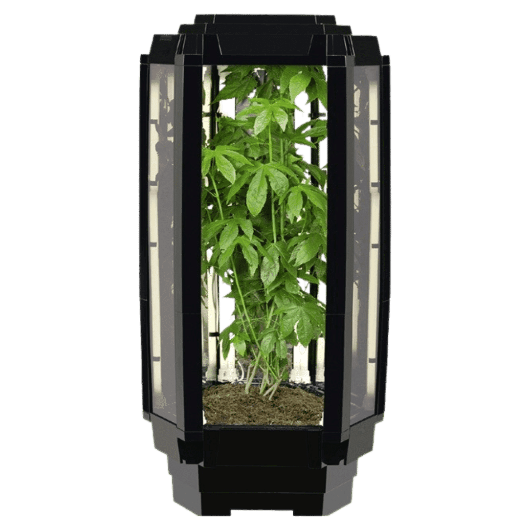 Phytotron 💬 | Green CulturED