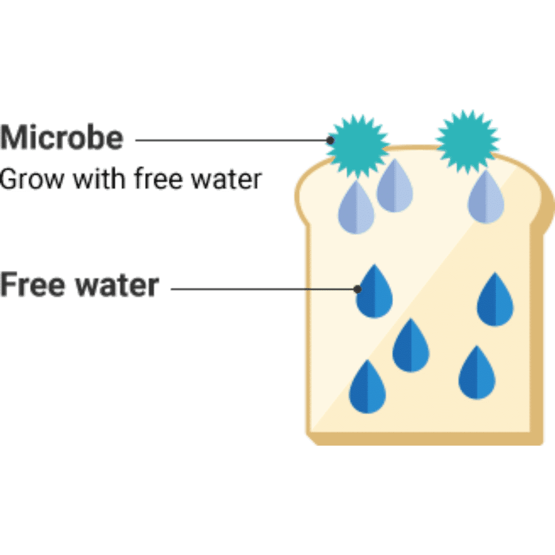 Water Activity Explained at Anthony Drexler blog