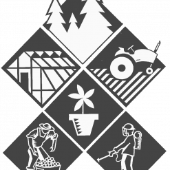 Which Is Better: Smoking Or Vaping? 💬 | Green CulturED